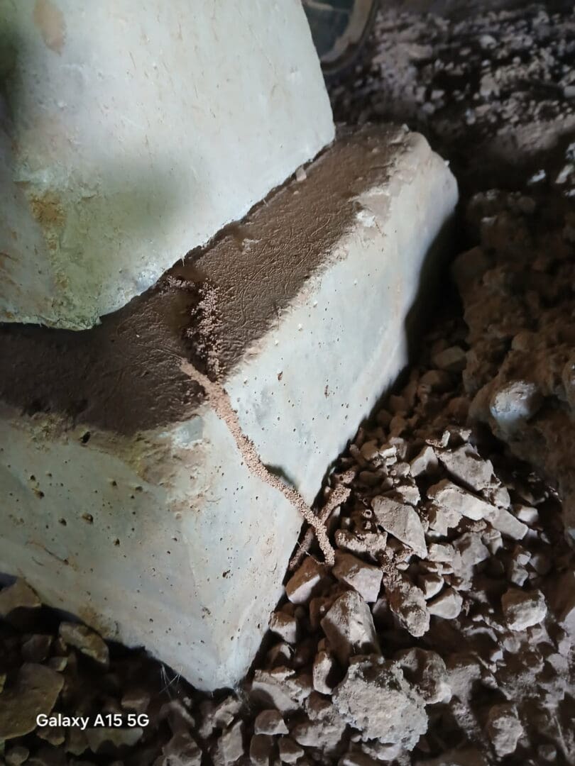 Termite Control Chemicals - Branham's Exterminating